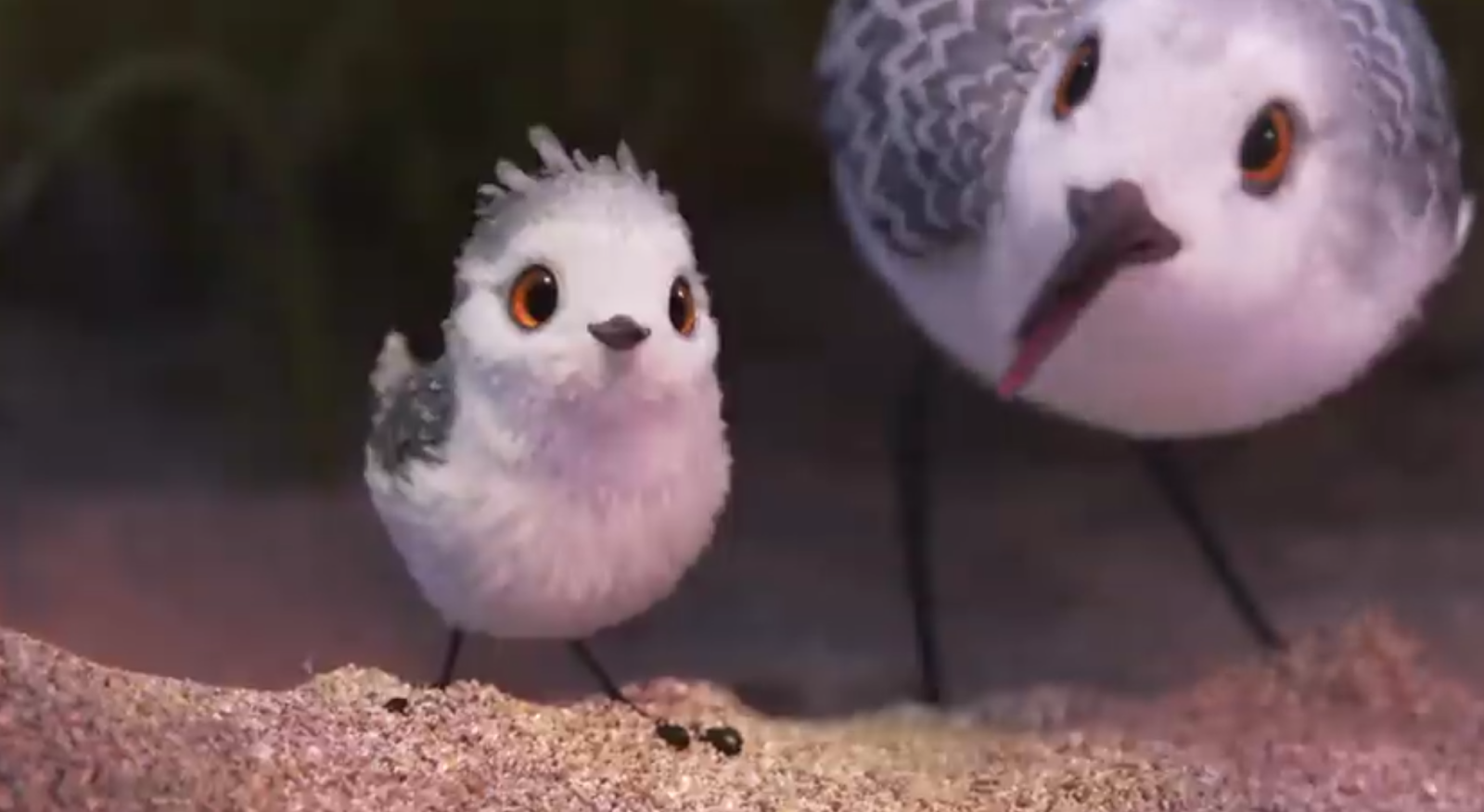 Dan the Pixar Fan: My In-Depth Finding Dory Blu-Ray Review