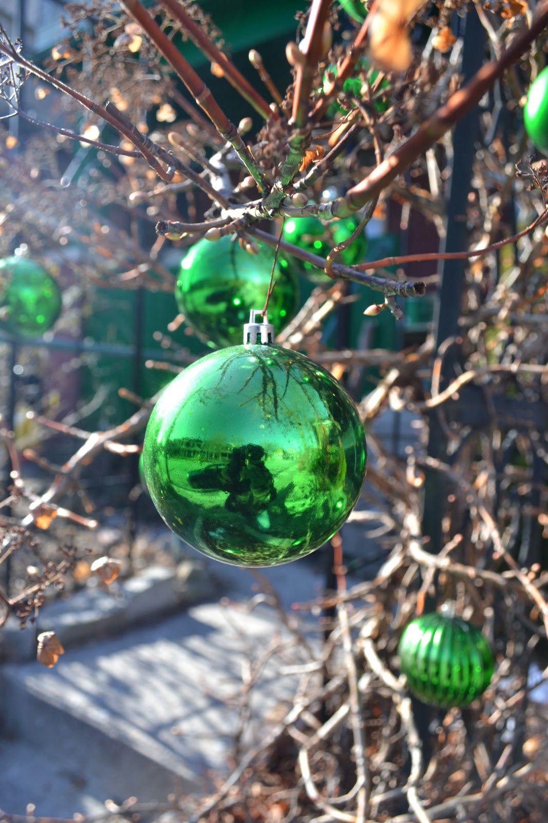 Jackie Farr's Photographs