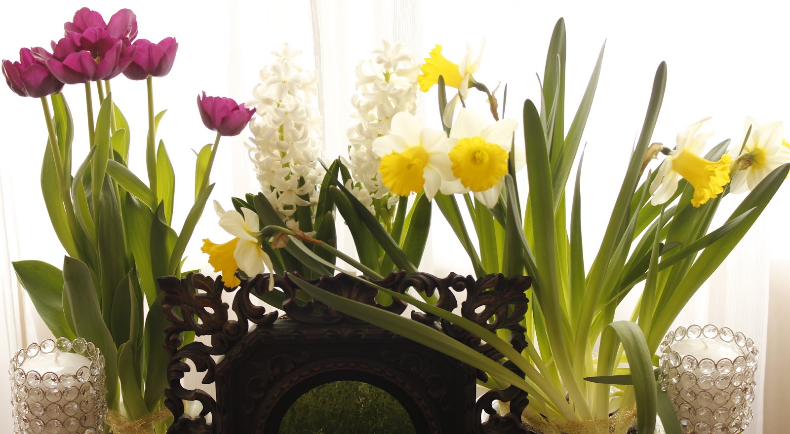 Turmeric & Saffron: Celebration and Traditions of Nowruz - The Seven S ...