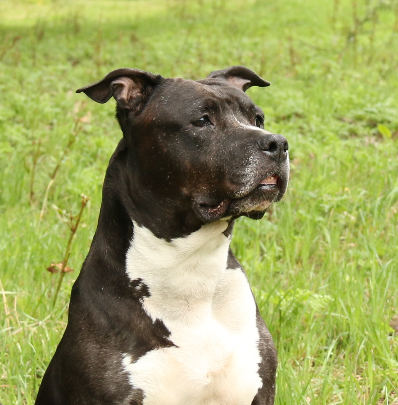 Catch the view: Moeilijke opdracht