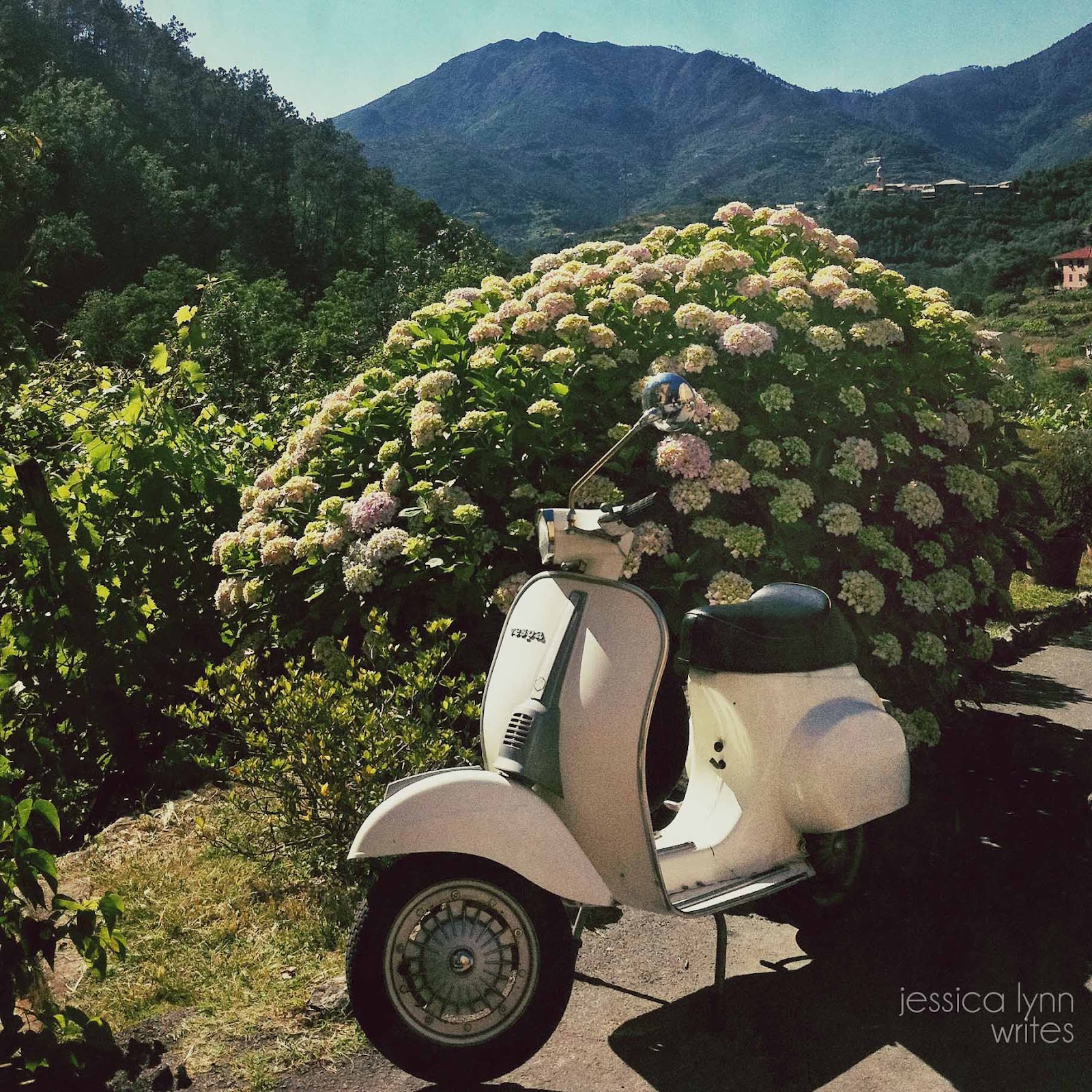 Puppy's Perspective: Cinque Terre, Italy • Jessica Lynn Writes