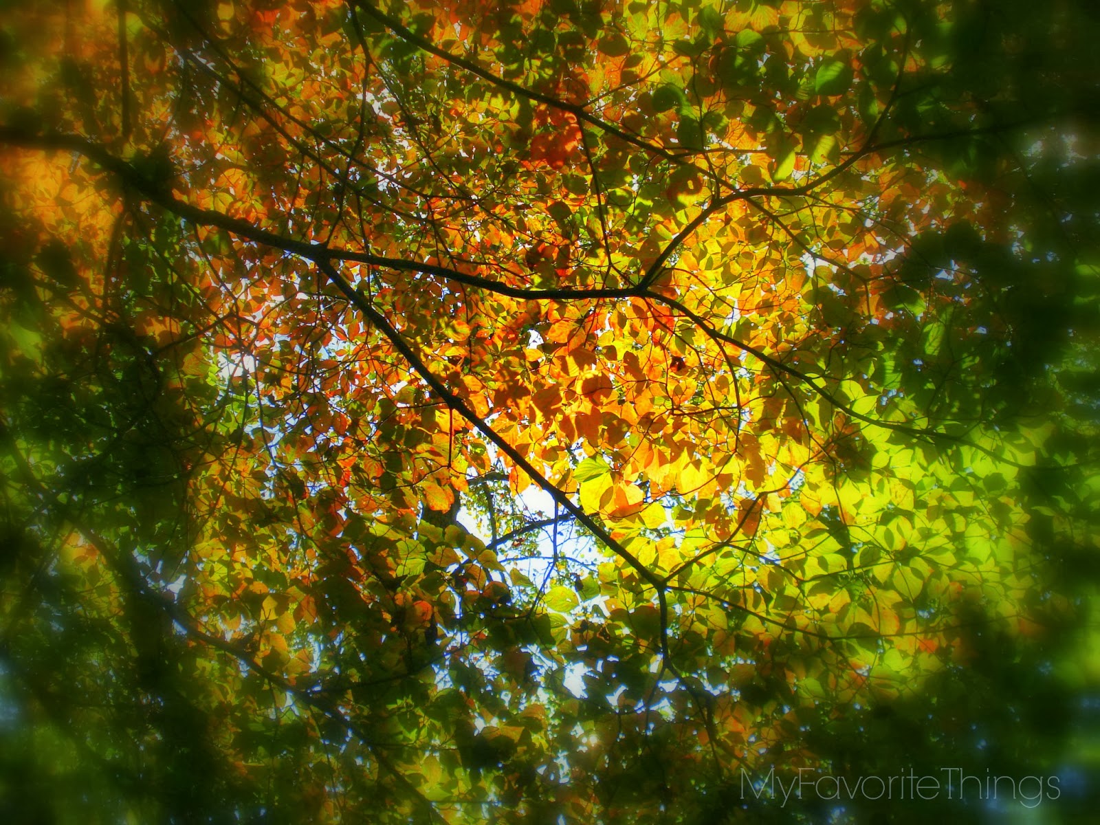 My Favorite Things: October is Upon Us!