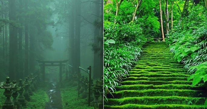 30 Unbelievable Natural Environment Produced By Man´s Hand