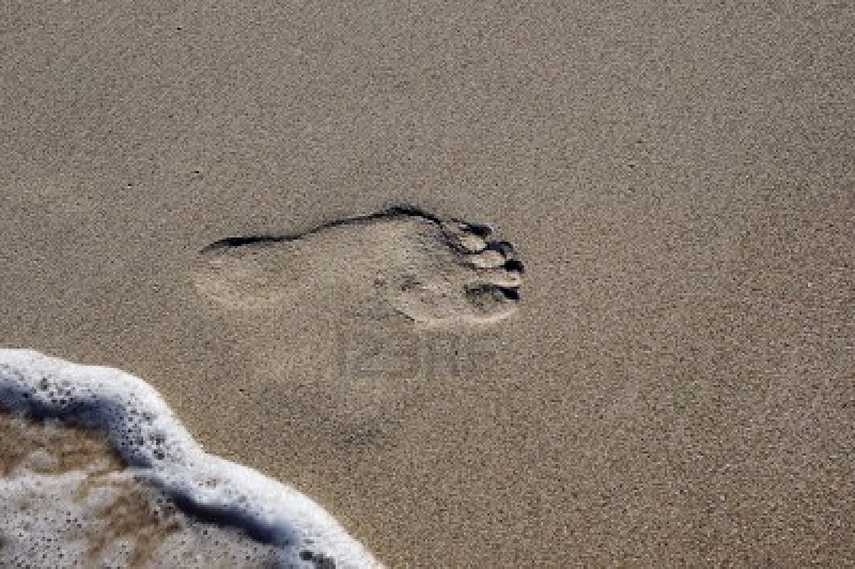 Taller Interior: IMPRONTA (Definición)