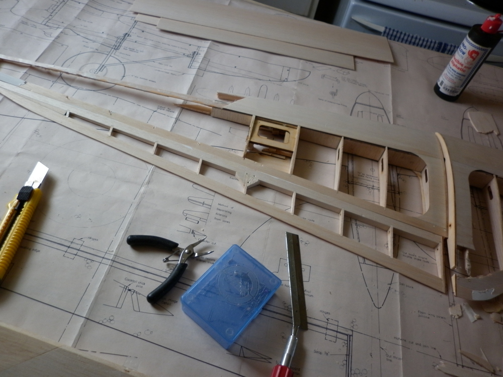 Wings N' Flying Things: Bird of Time