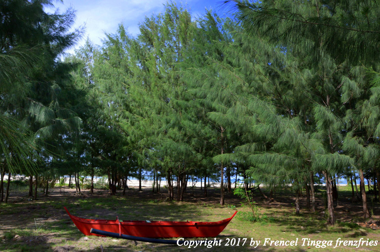 Frenz Fries: Angelica Paradise Beach and Resort, Siruma