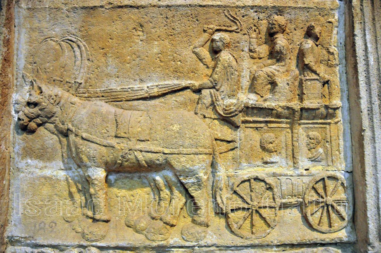 Sapere Aude: ¡Menudo tráfico en el Imperio!