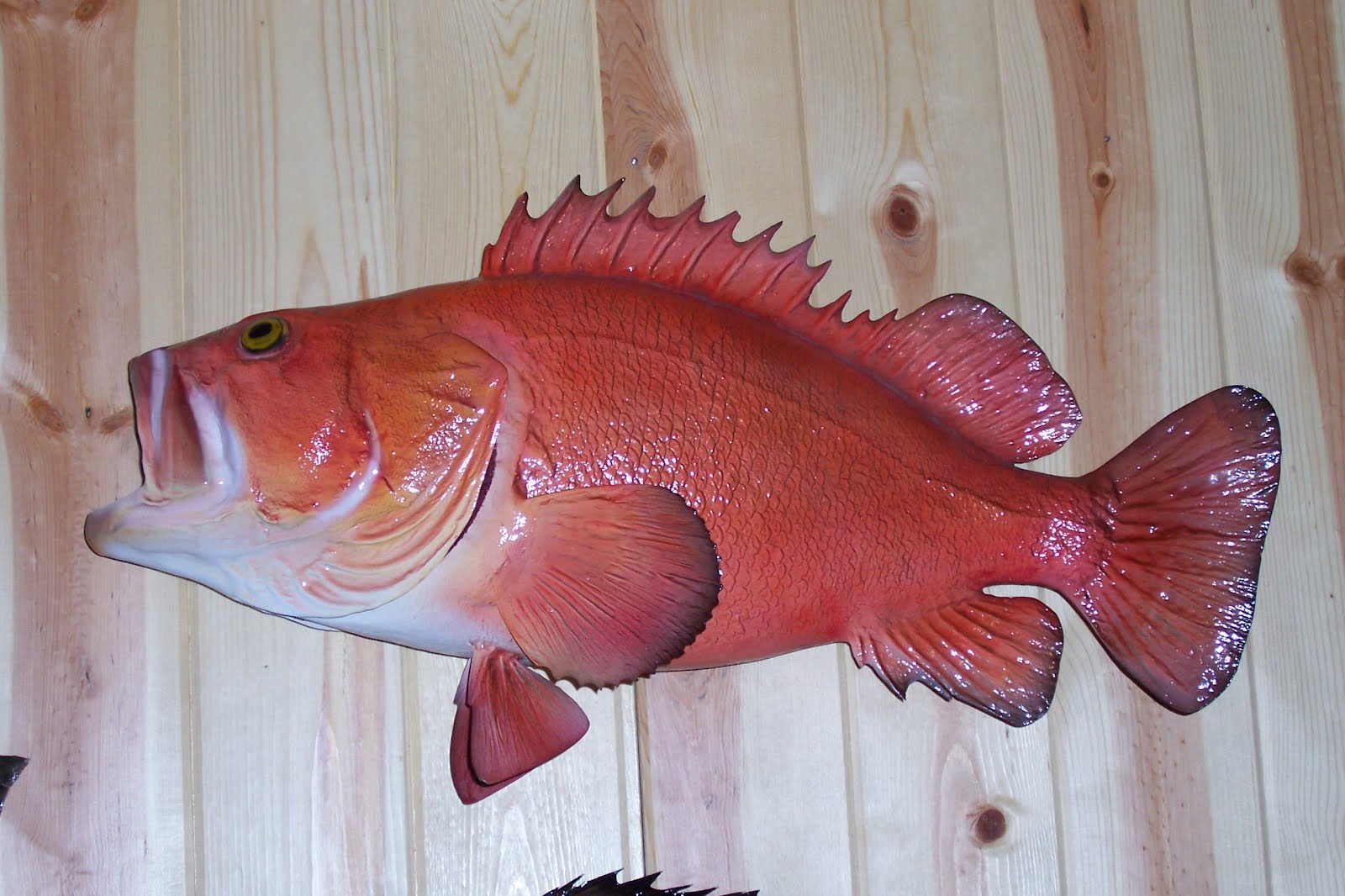 Beaver Creek Cabins & Guide Service: Fish Mounts