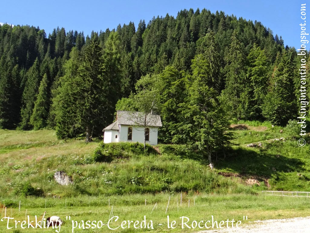Trekking in Trentino: Passo Cereda - le Rocchette - bivacco Menegazzi