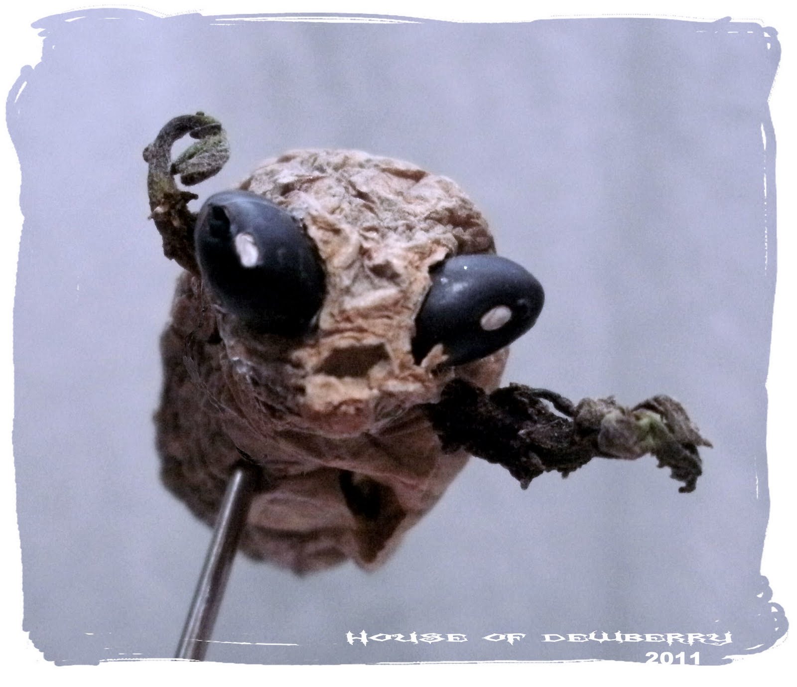 House of Dewberry: Halloween How-To Potato Fingerling Creepy Critters