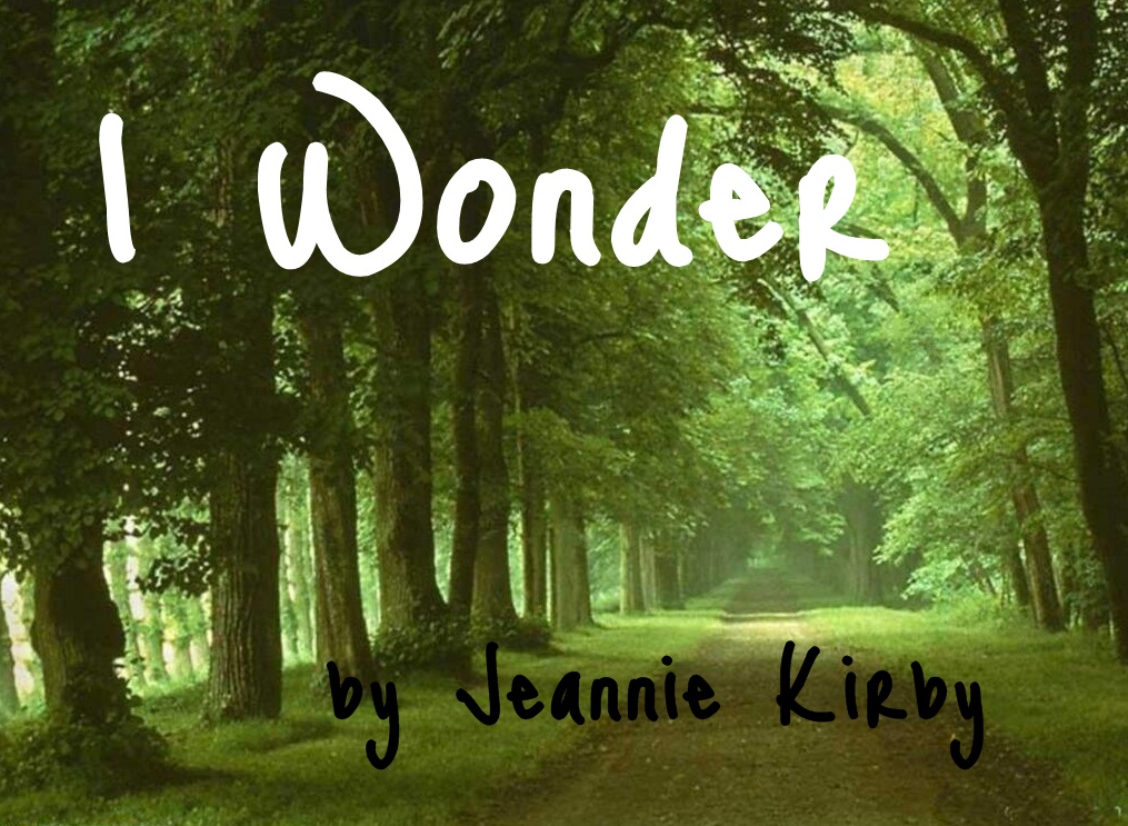 I Wonder | Mind Your Literature!