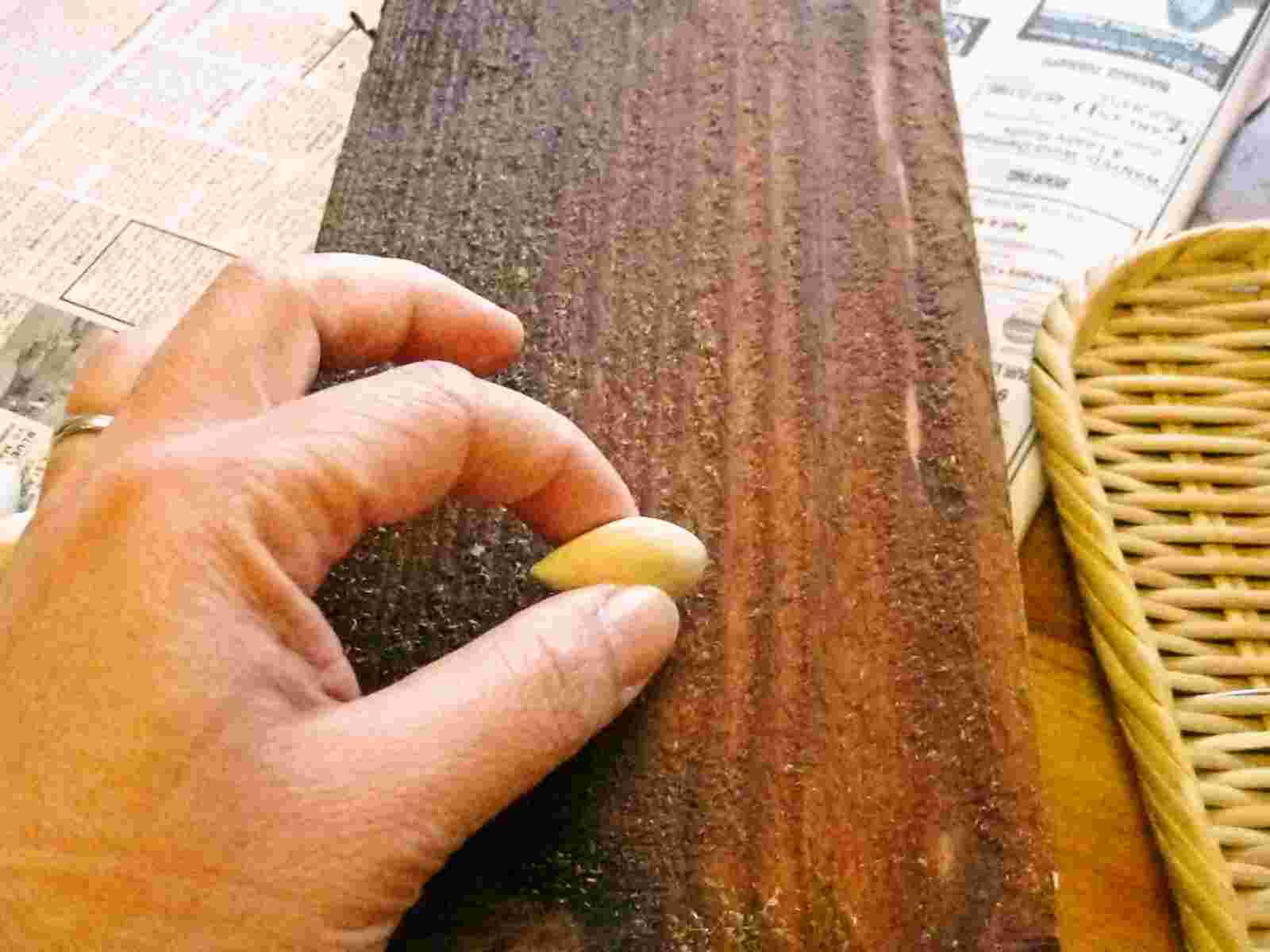 Recipes for Tom: Ginnan gingko nut prep