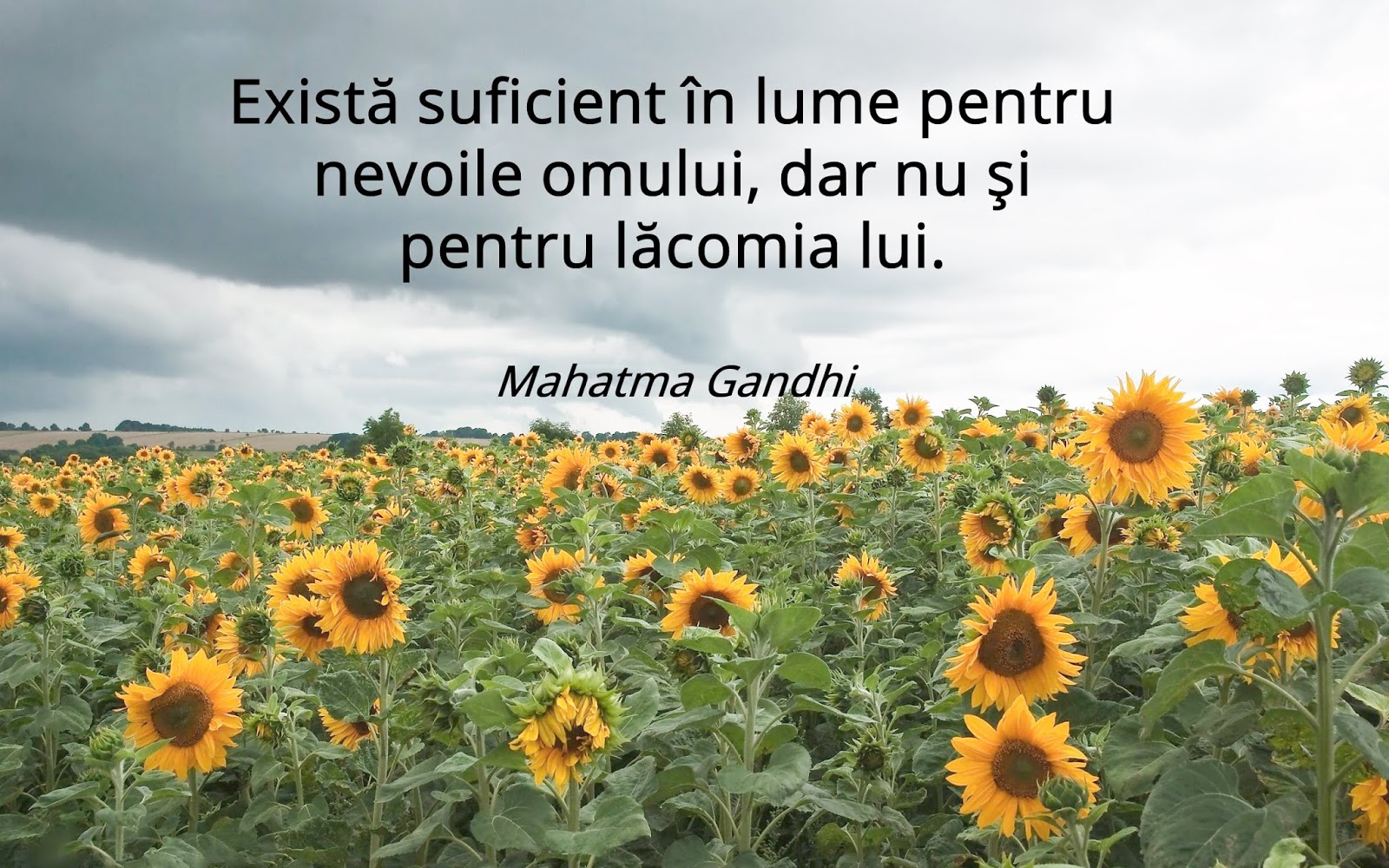 Felicitari, Mesaje si Urari: Citate despre viata