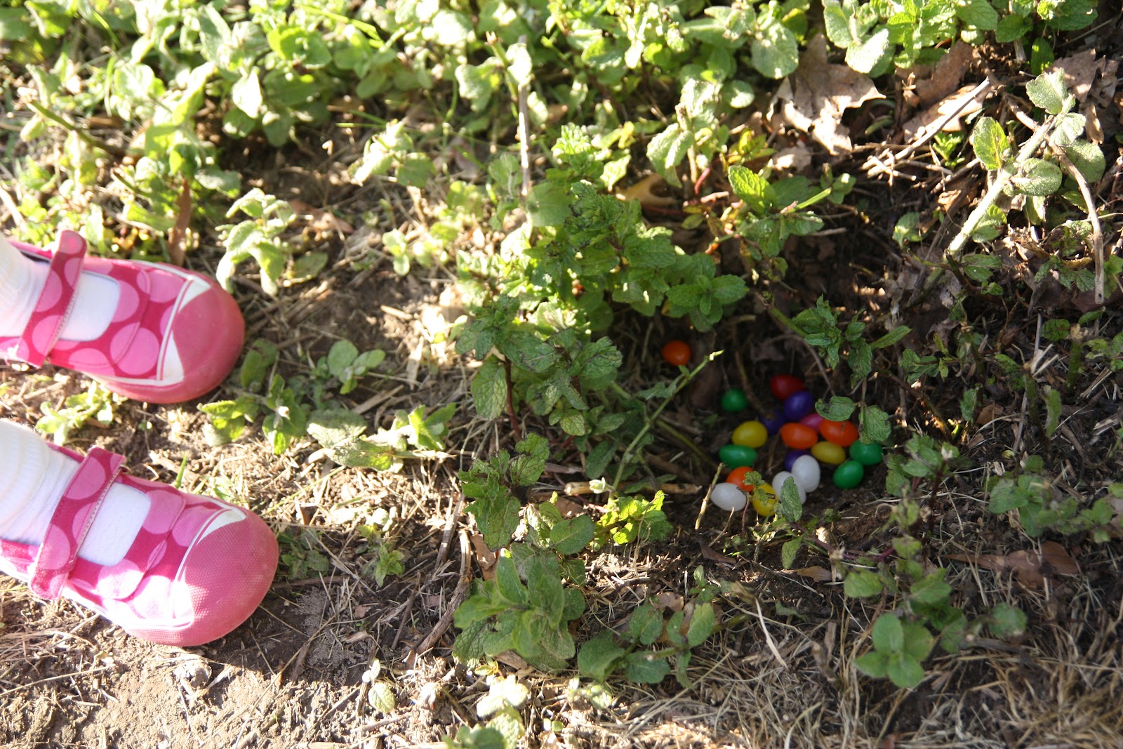 Very Virginia: An Egg-straordinary Weekend!!