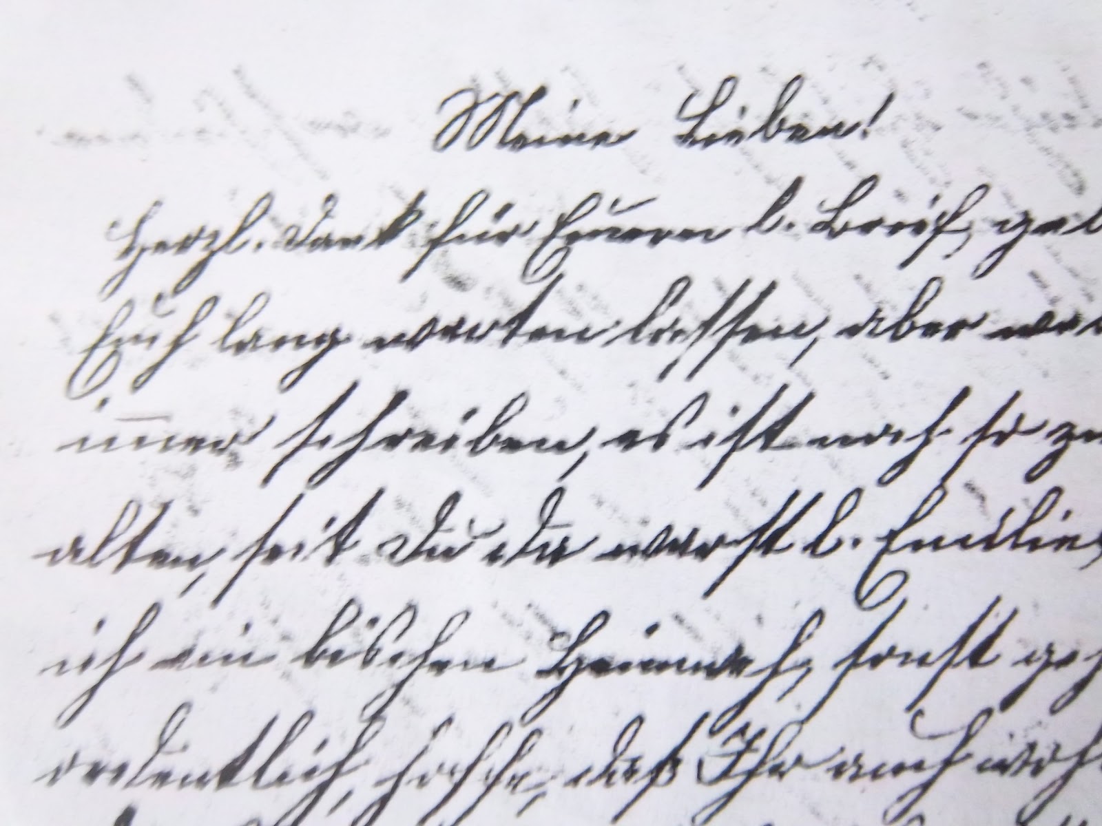 amselgesang: Alte Briefe