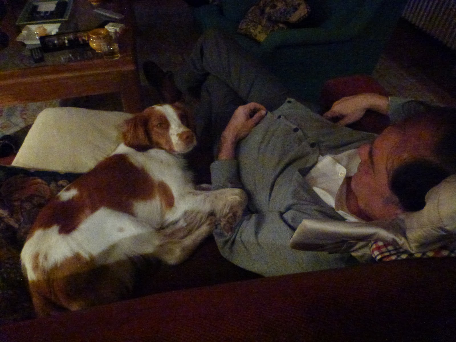 Salmonetes Ya No Nos Quedan: José Ramón Márquez presenta "Gente pa tó"