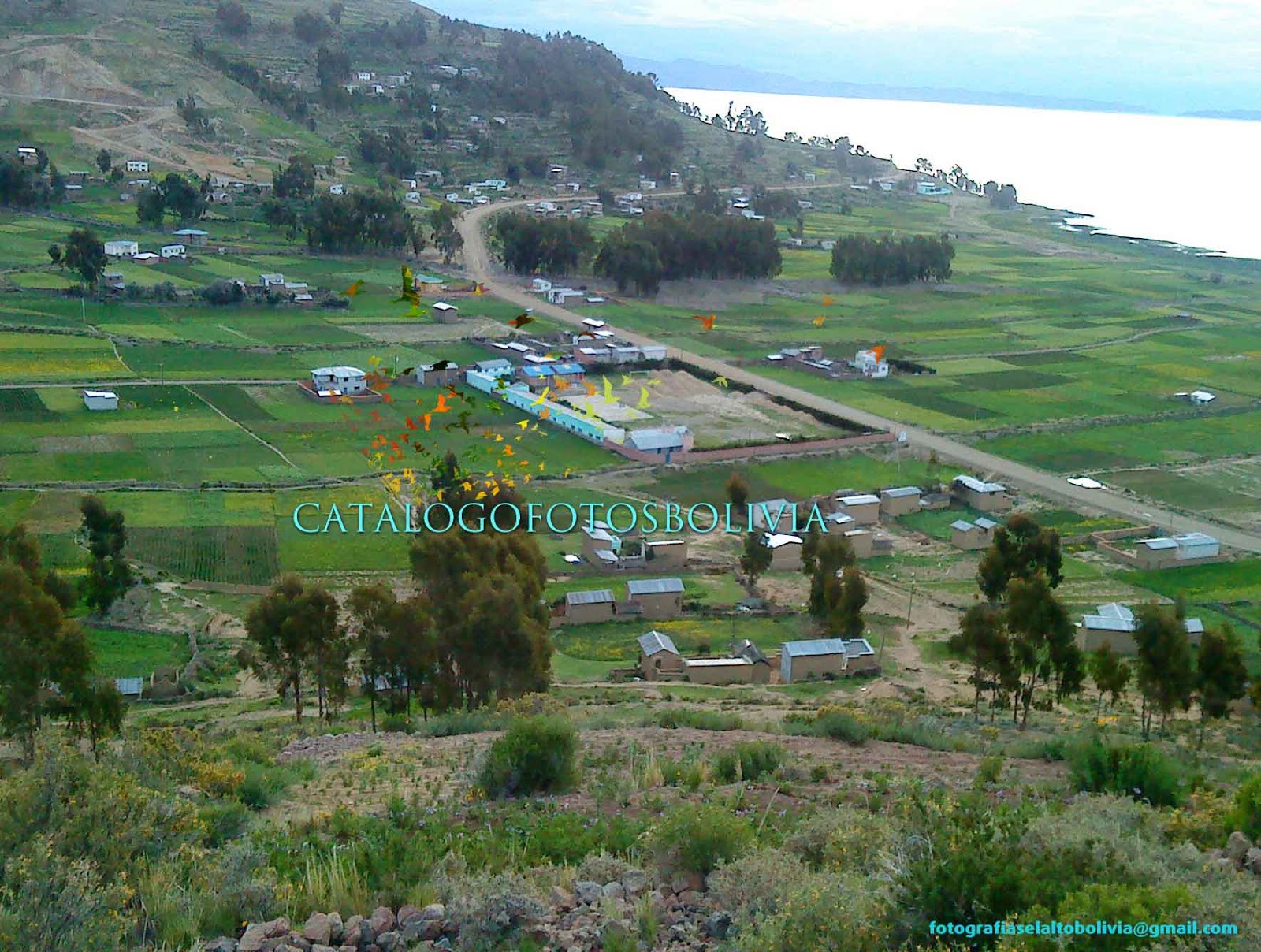 Colorido, alegría y ritmos musicales en la población de Santiago de ...
