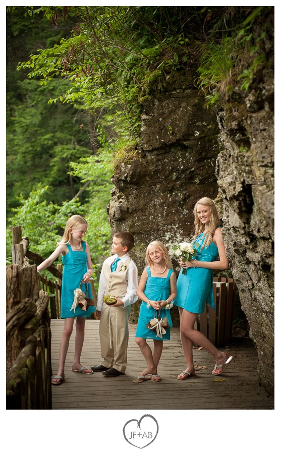 JF + AB Photography Blog: Sabrina and Anthony's wedding at Bushkill Falls