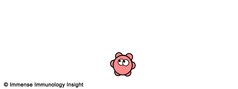 Immense Immunology Insight: Functions of antibodies simplified