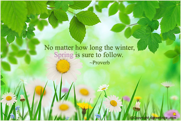 Greetings, Cards, Wishes, Messages: Spring is sure to follow!