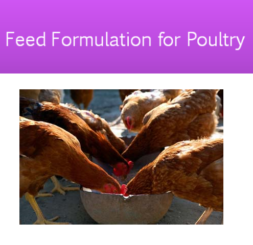 Poultry Feed Formulation Methods For Broiler And Layer