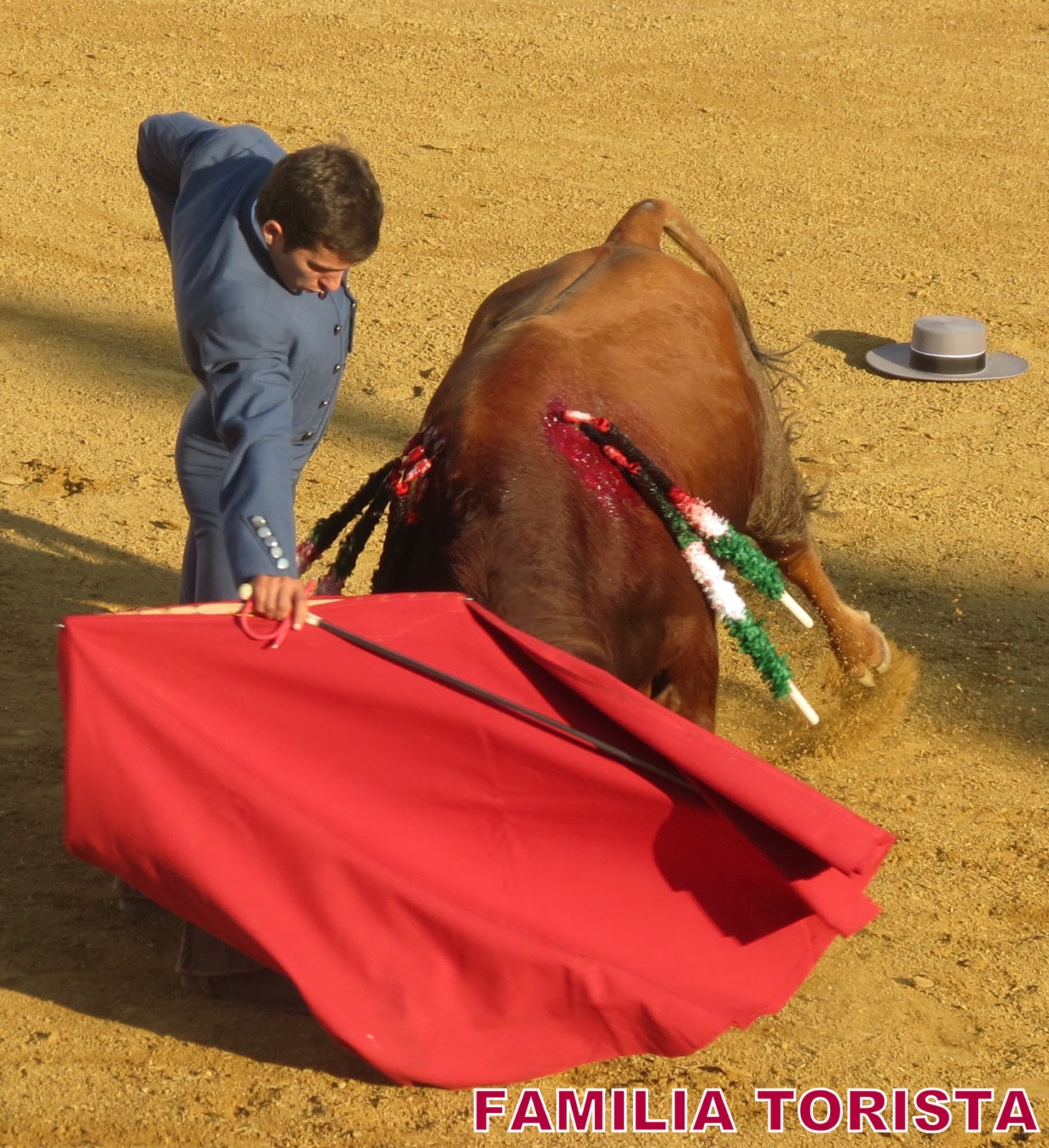 TOROS DEL CONDADO S.L: LOS NOVILLEROS, JOSÉ IGNACIO RODRÍGUEZ Y JIMÉNEZ ...
