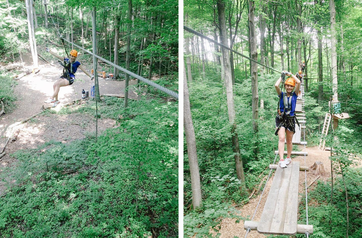 Fresh Collidings: Boler Mountain - Tree Top Walk