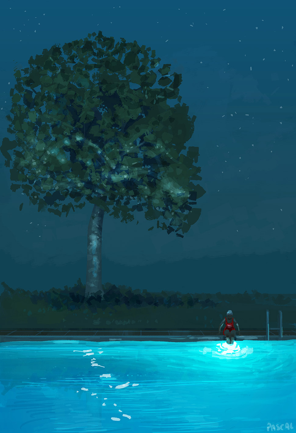 pascal campion: Night swim