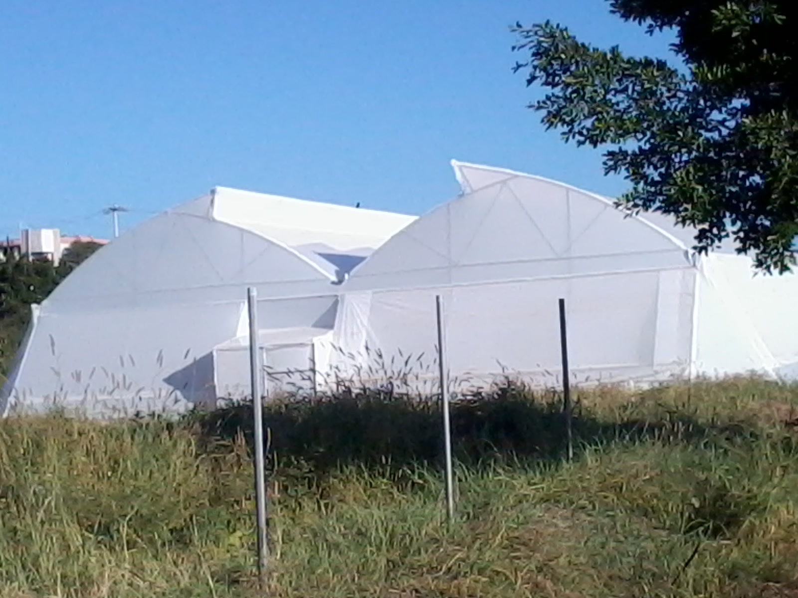 CENTRO DE BACHILLERATO TECNOLÓGICO AGROPECUARIO N.184