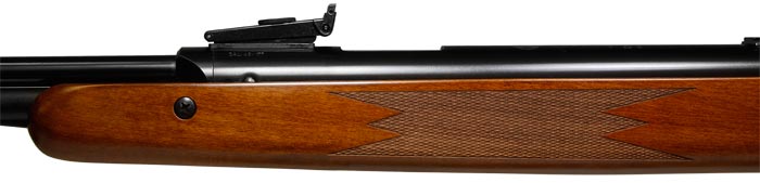 GUN SPORT: Diana RWS 460 Magnum