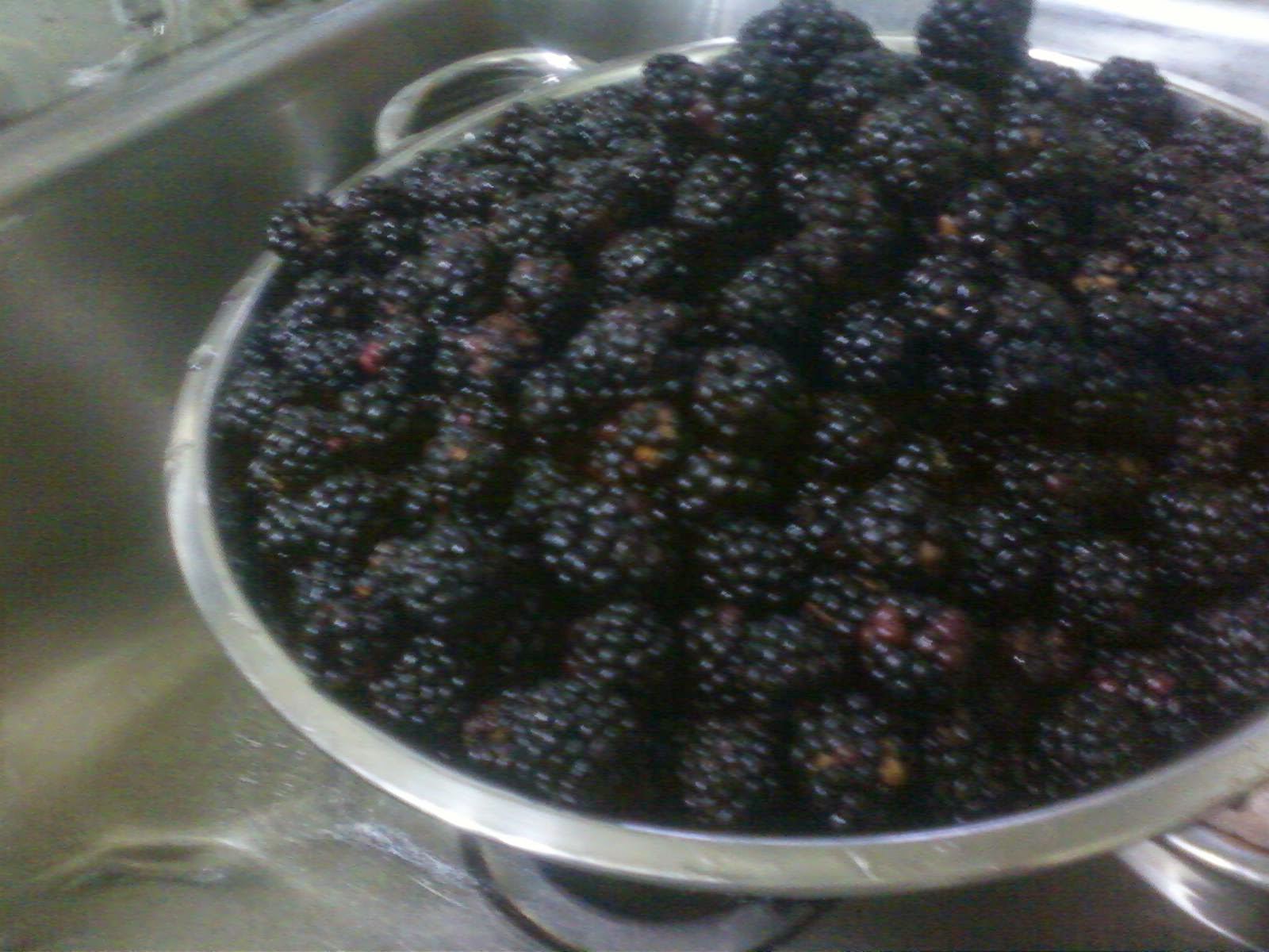Lucy of Orchard Slope: An Easy Way to Wash Berries