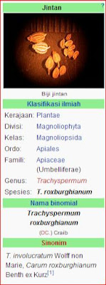 TOGA - Khasiat, Manfaat dan Penggunaan Jintan - Trachyspermum ...