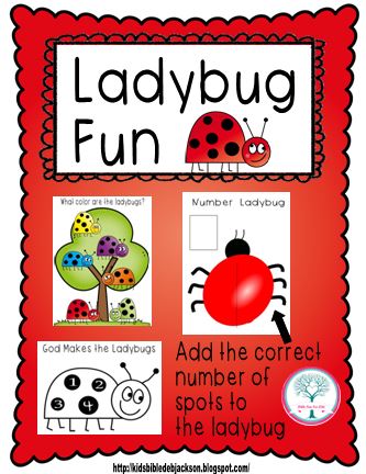 God Makes the Insects: Ladybugs | Bible Fun For Kids