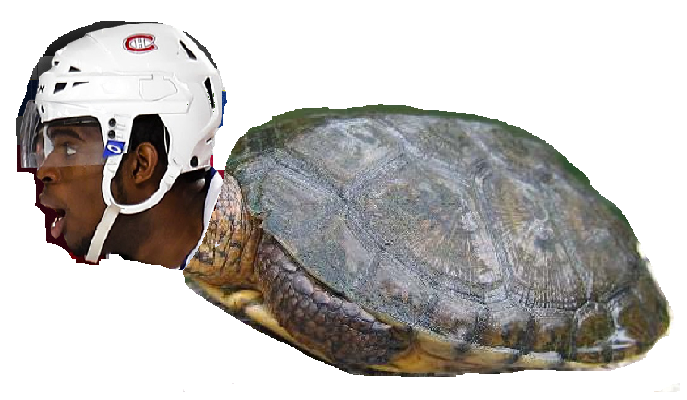 The Pack Prodigy: Last Night's Bruins Game-- Suban is Like a Turtle