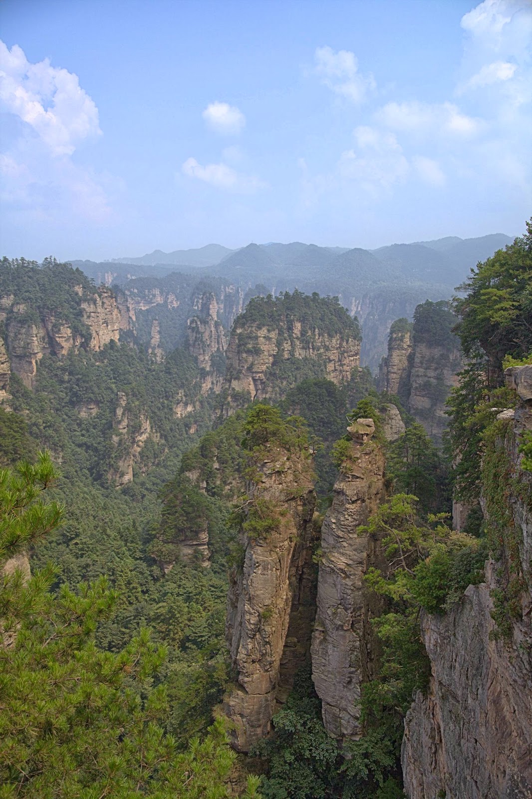 Łowcy Obrazów: Góry z Avatara