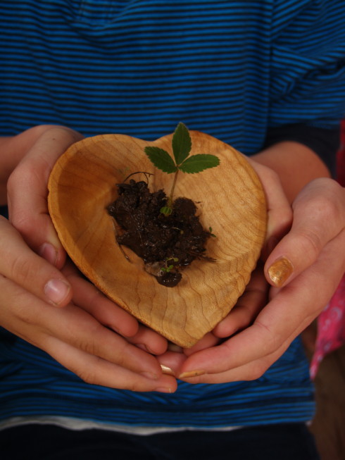 Wisdom of the Hands: even to stand slack jawed, open mouthed and ...