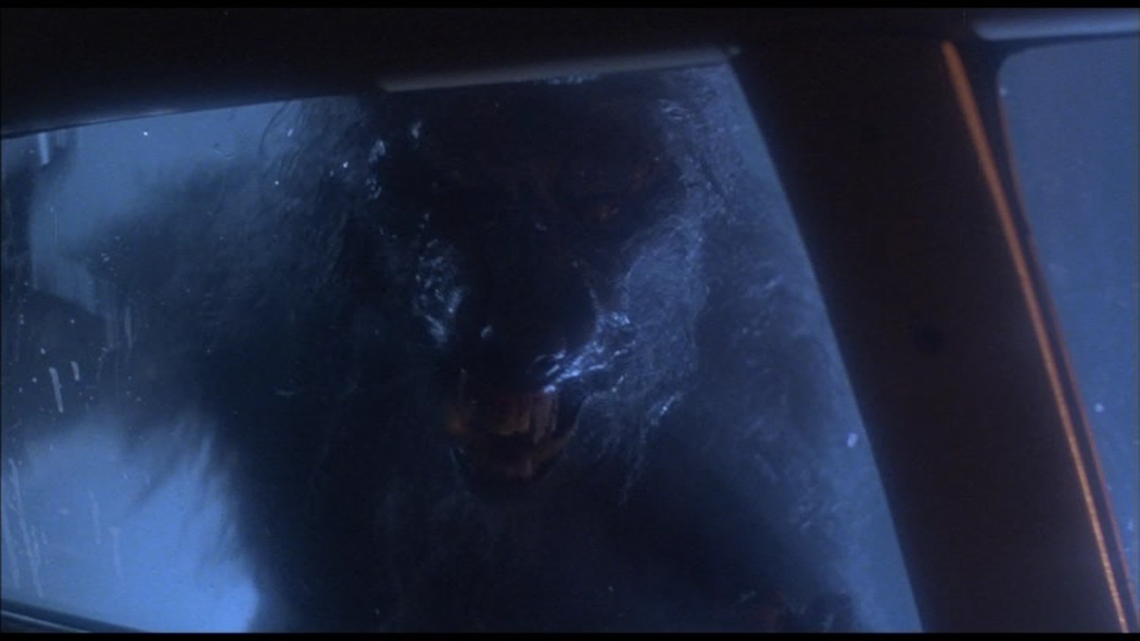 Ruff Beer, Bitter Dogs: The Howling (1981)