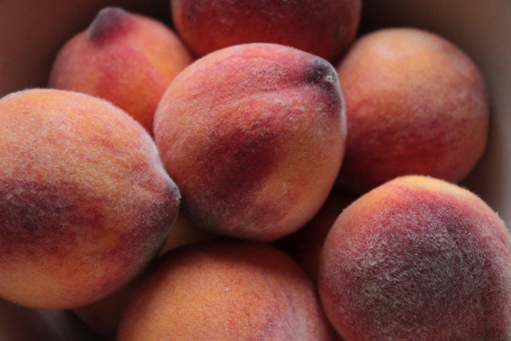 Towerwater Aan De Breede: The early bird gets the sweetest peach