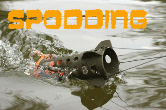 deivo-mundocarp: SPODDING