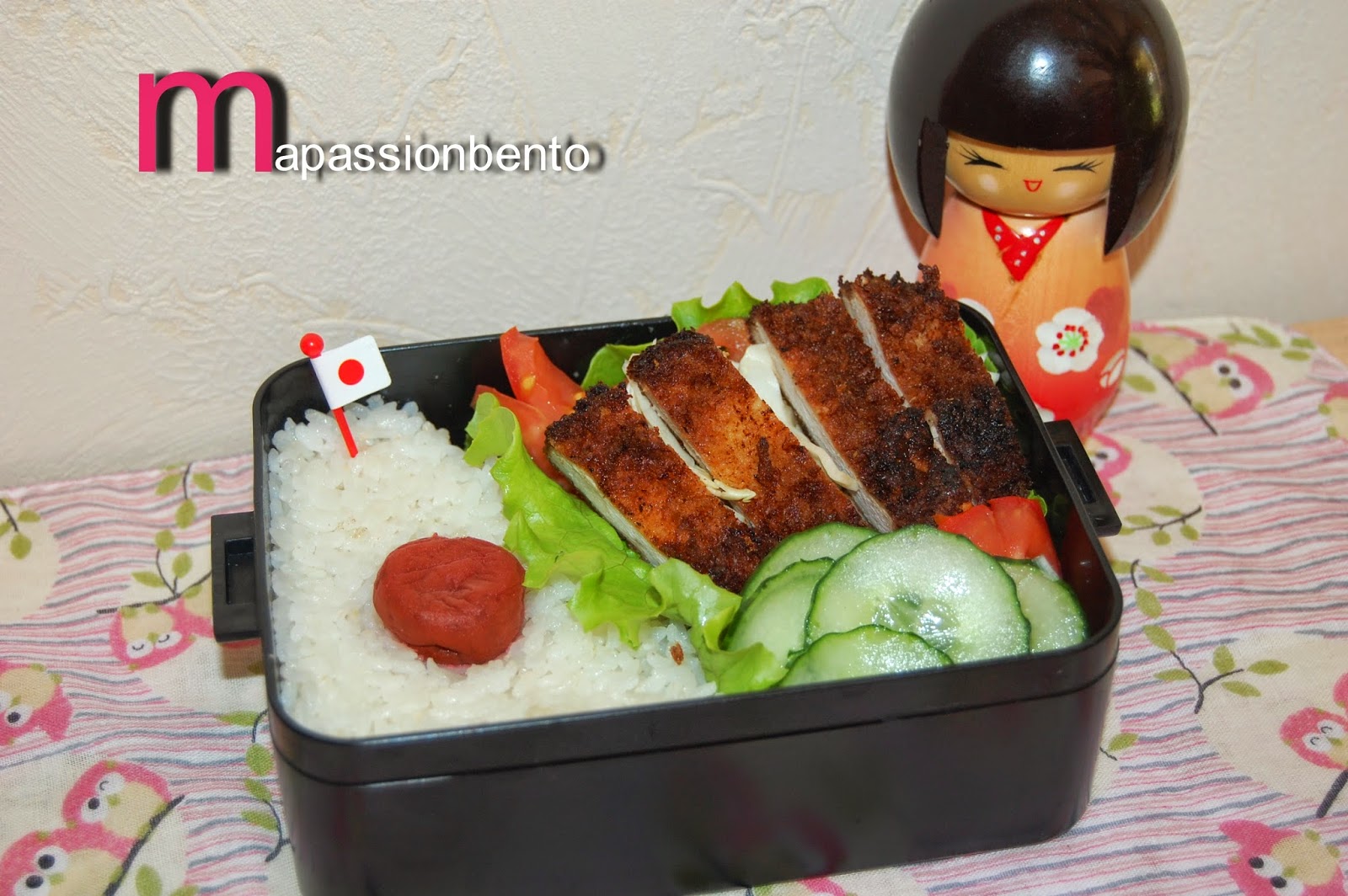 Ma passion bento: Tour du monde des bento : le Japon