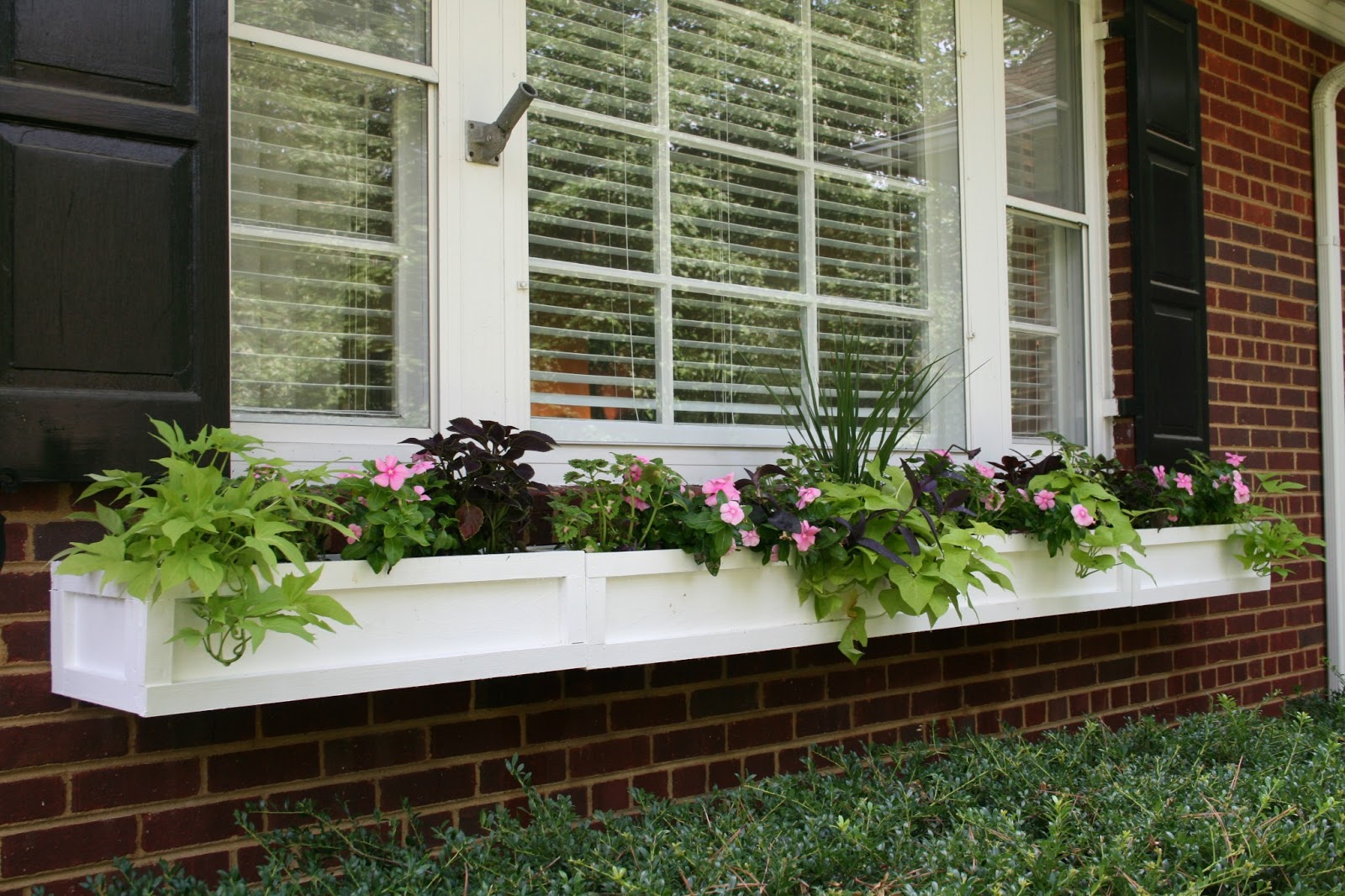 Richmond Real Estate Mom: Window Boxes