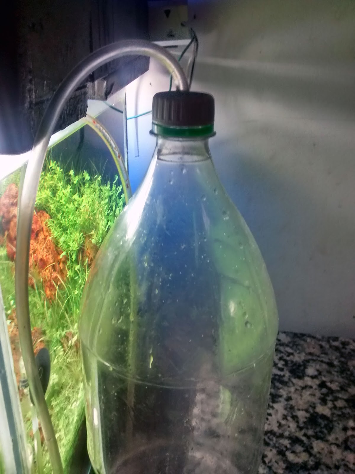 Como fazer co2 caseiro | Aquanect