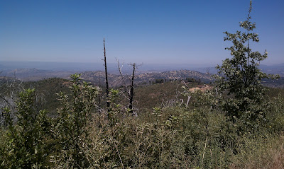 Attack Off the Front: Base Period 2 Review