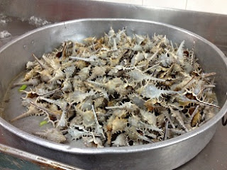 Always looking for something to eat: Bagan Prawn Village Seafood, Tambun