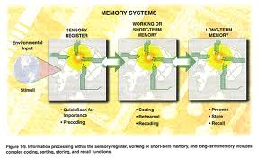 If the recovery process is non-linear how can there be a stage model ...
