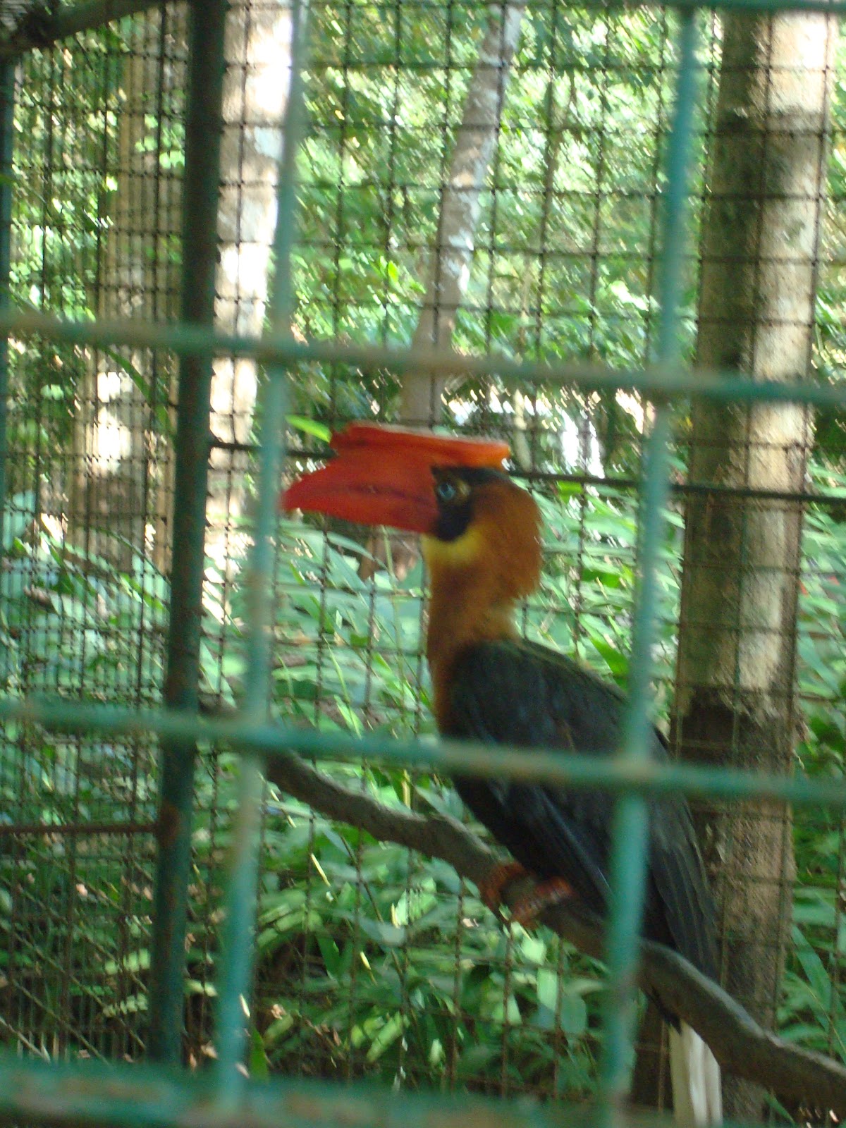 Destination Philippines: Zoobic Safari, Subic Bay Freeport Zone