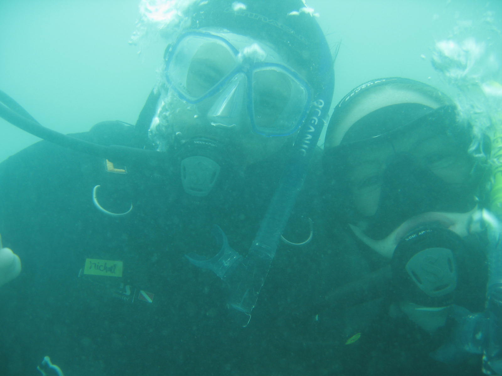 Where the Lions Roar: I'm a Scuba Diver!