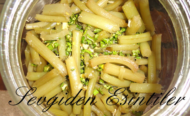 Sevgiden Esintiler: Kabalak Turşusu (Yaz Turşusu)