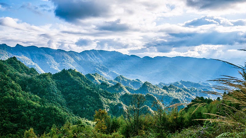 Mi Cang Shan National Forest Park – Experience the Wonderful Natural ...