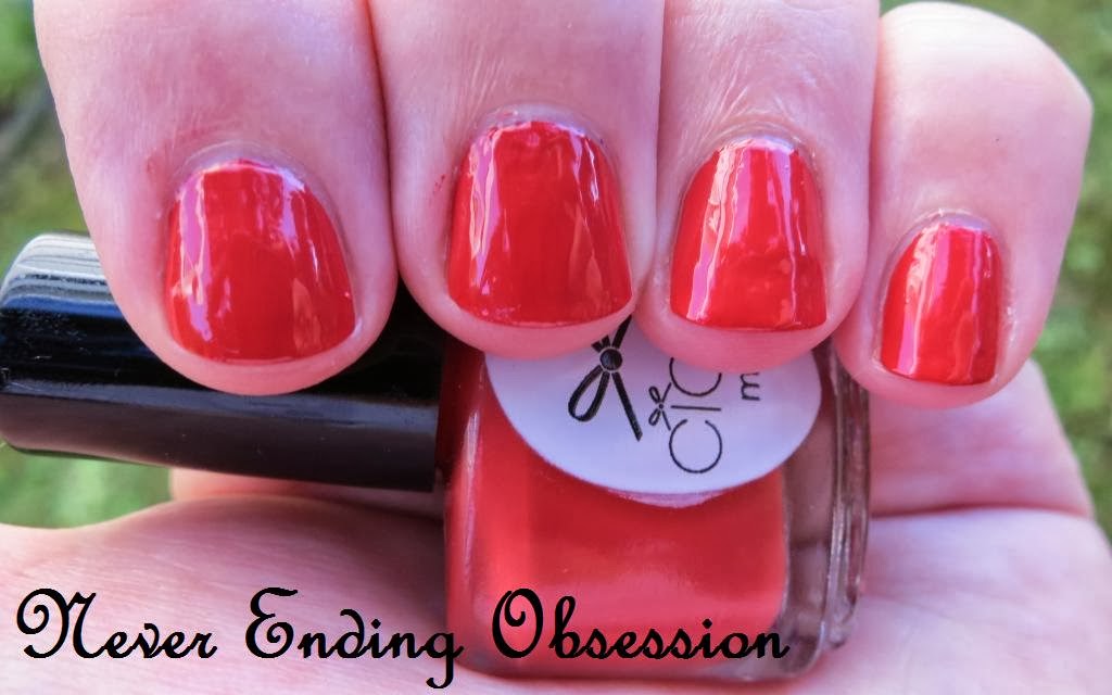 Never Ending Obsession